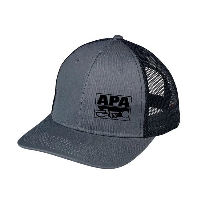 American Poolplayers Association